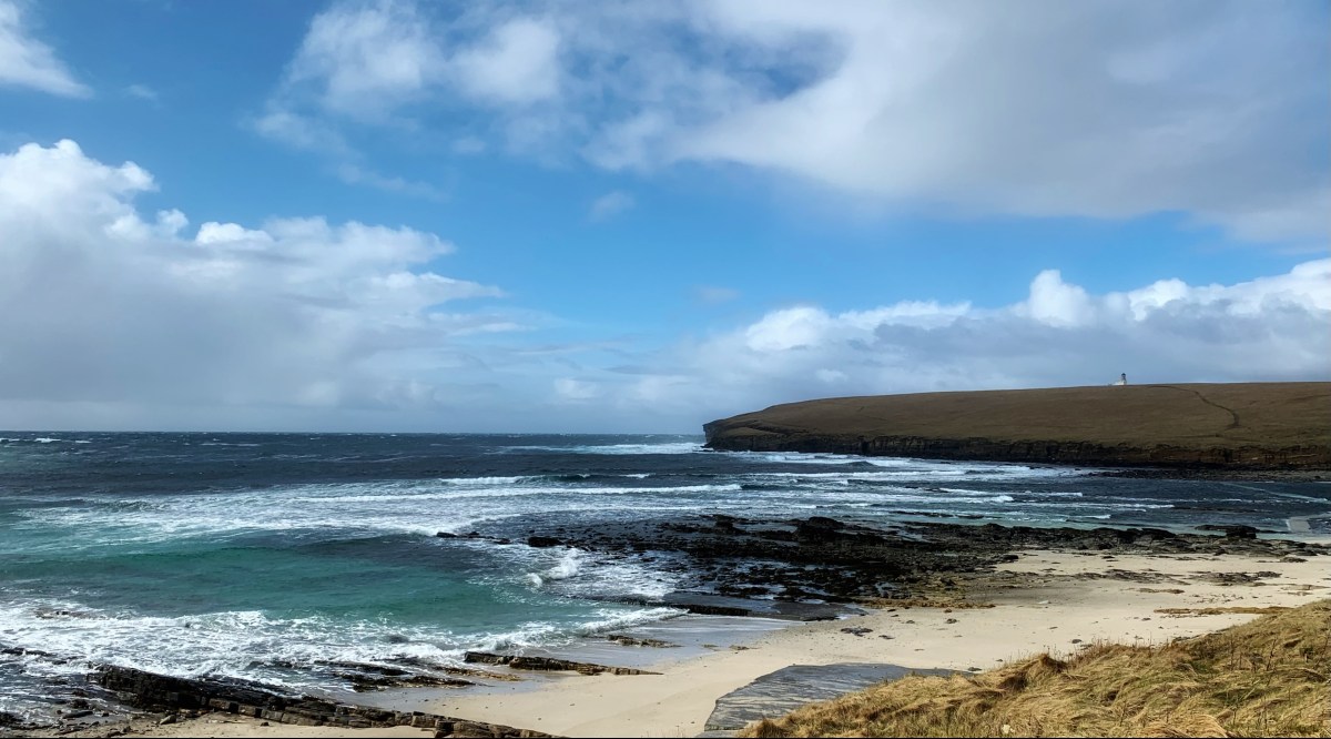 ingrid-grieve-1-1-e1621966694429.jpg?w=1200